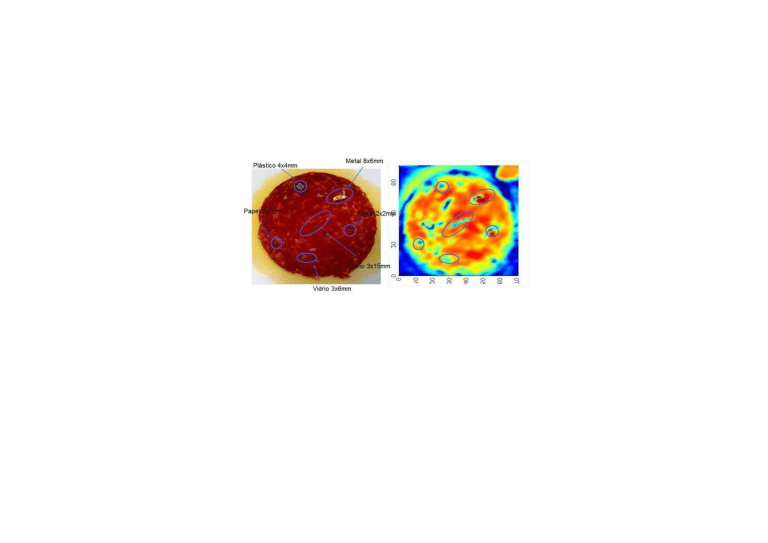 NMR/MRI for imaging plastic in a hamburger - Motis